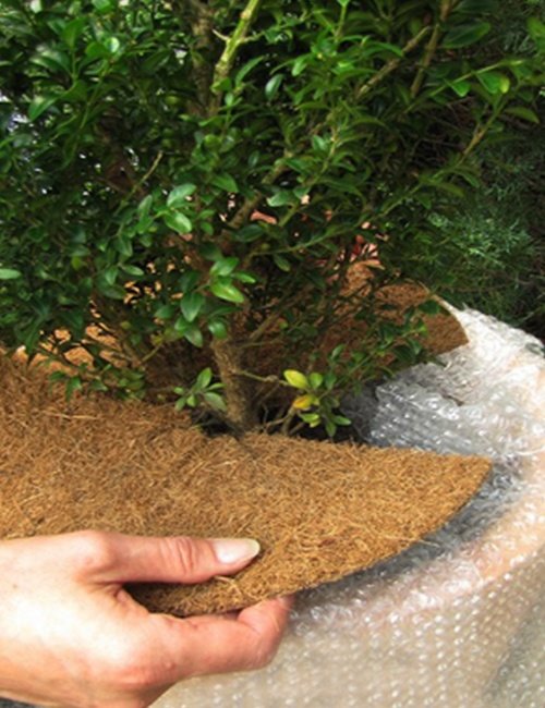 Coco Coir Mulch Mats - Blog